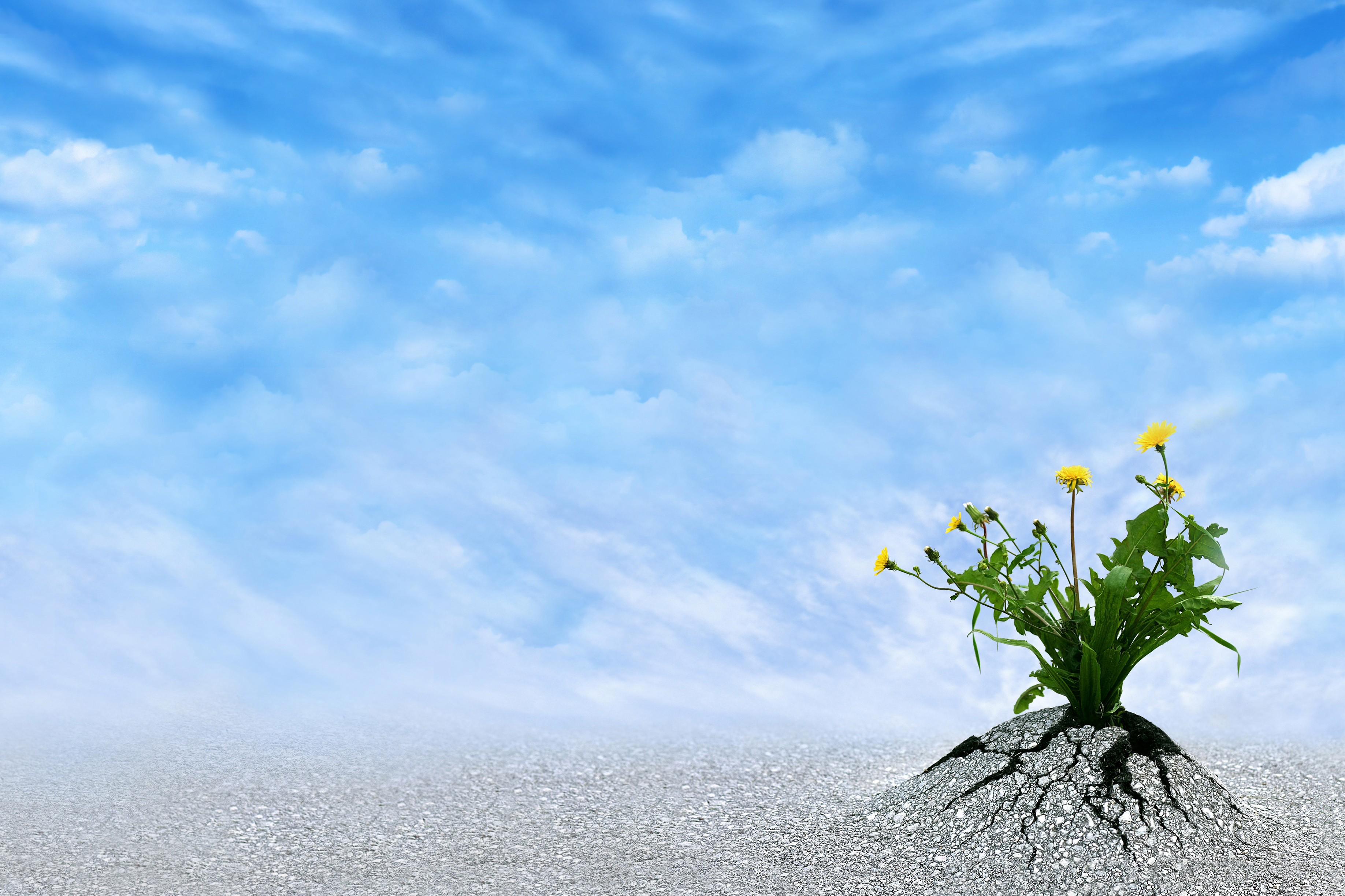 Ayurveda for Vitality – reVitalize with Ayurveda. Develop Enduring ...